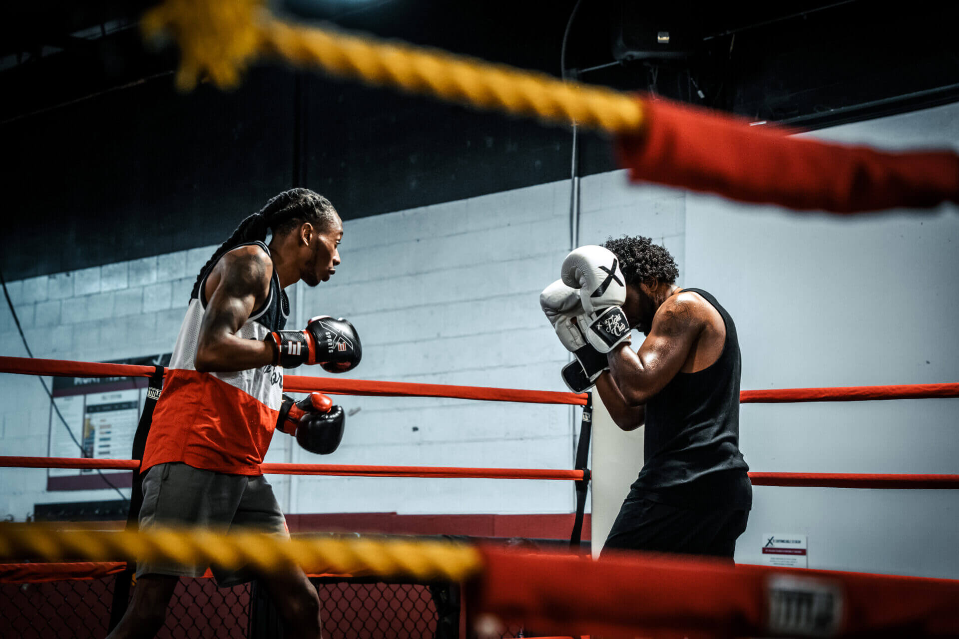 Types of Boxing: Which Punch Packs Your Personality?