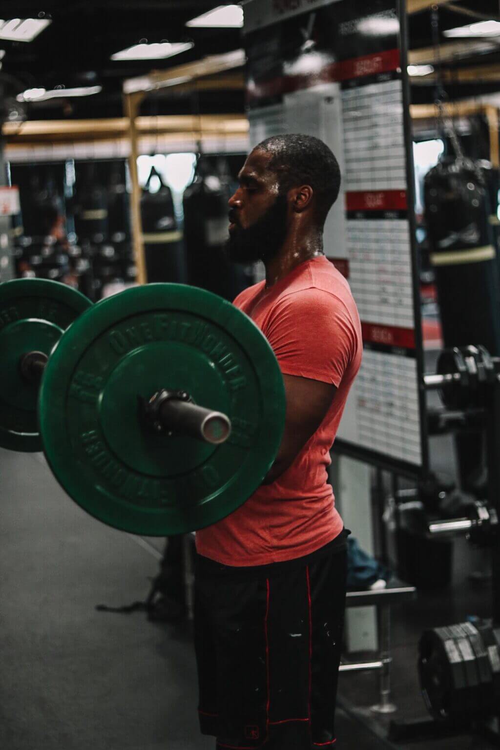 12 Free Weight Exercises for Beginners for Gym Rats in Training