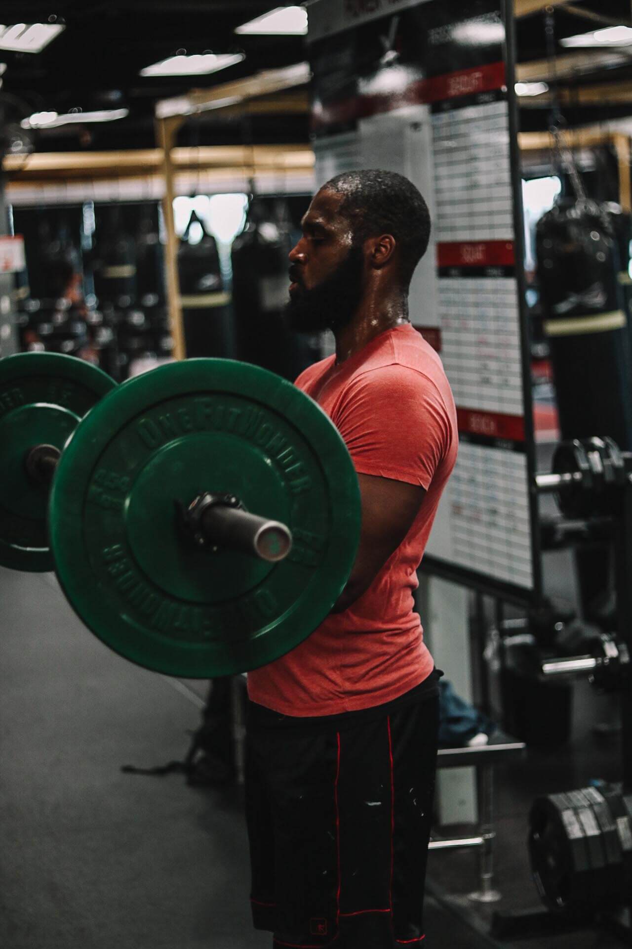 12 Free Weight Exercises for Beginners for Gym Rats in Training